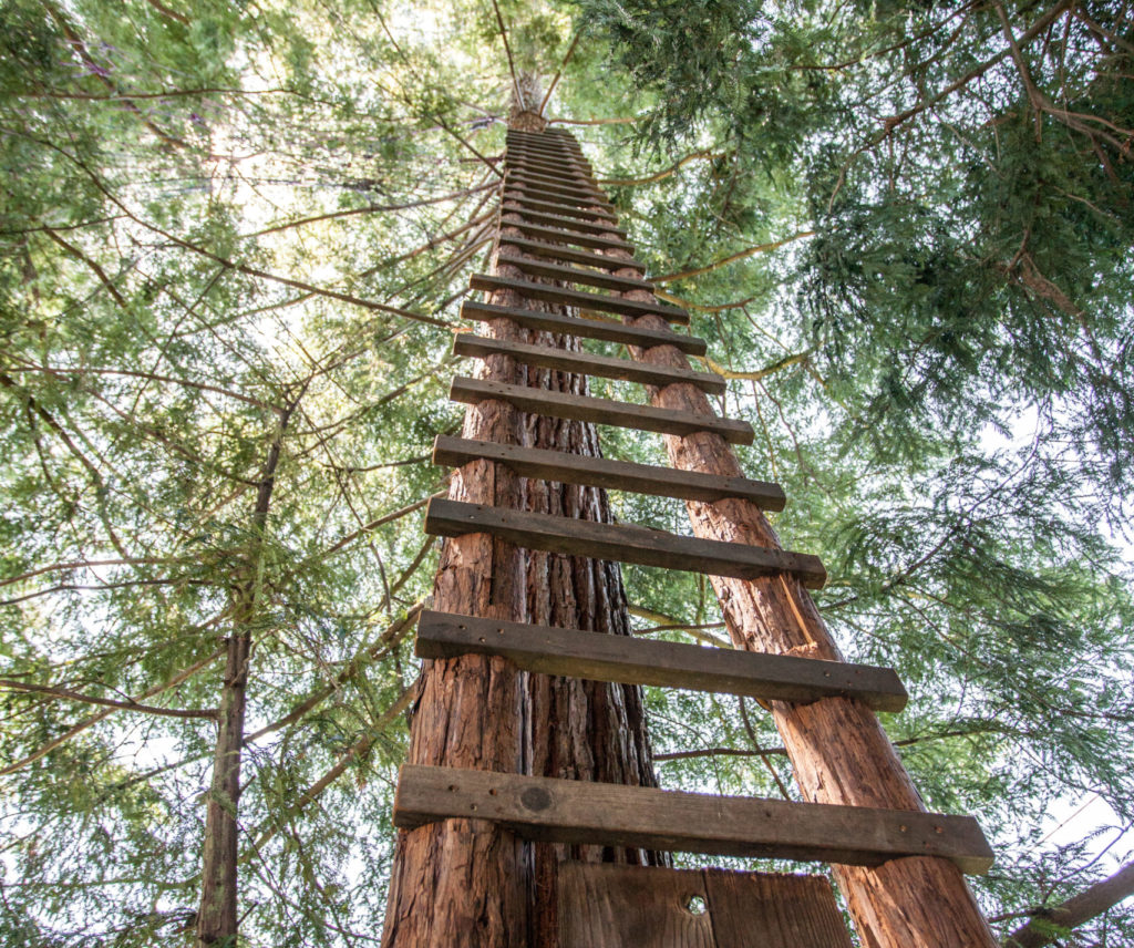 Be In Tree Nets - Handwoven Tree House Net installations
